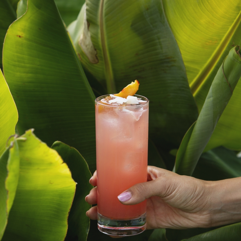 Leo Bistro & Leo Rooftop Sky Bar Budapest